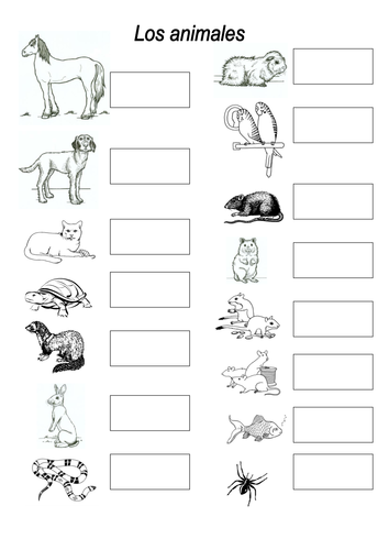 Spanish pets and opinions lesson | Teaching Resources