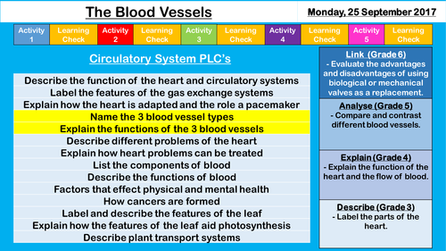 The Blood Vessels - NEW AQA GCSE | Teaching Resources