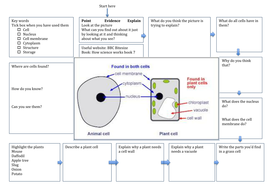Cells and microbes bundle | Teaching Resources