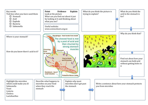 Cells and microbes bundle | Teaching Resources