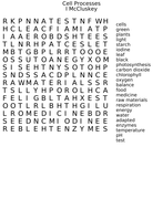 Science word searches | Teaching Resources