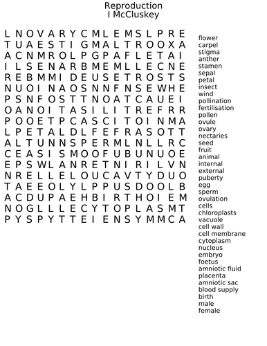 Science word searches | Teaching Resources