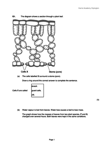 New 9-1 GCSE AQA Biology B4 Factors Affecting Transpiration | Teaching ...