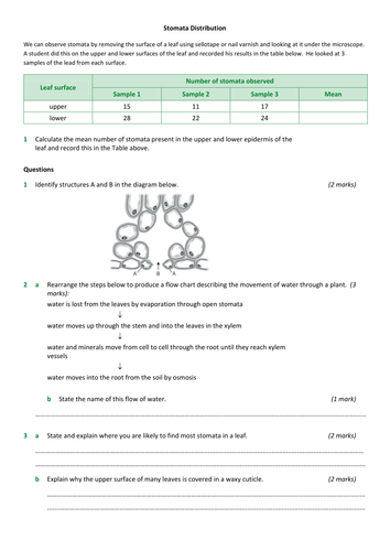 New 9-1 GCSE AQA Biology B4 Evaporation and Transpiration | Teaching ...