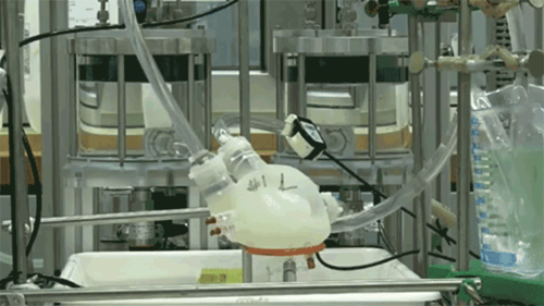 Helping the heart - complete lesson (GCSE 1-9) | Teaching Resources