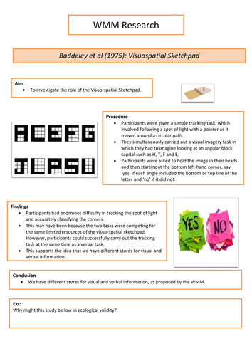 Evaluation Working Memory Model (WMM) - Psychology | Teaching Resources