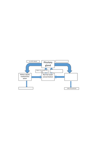 Dialysis New spec AQA GCSE | Teaching Resources Dialysis New spec AQA GCSE | Teaching Resources
