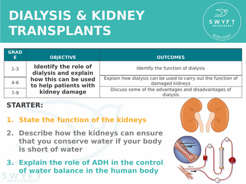 NEW AQA GCSE Biology (2016) - Dialysis & kidney transplants HT ...