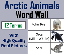 Arctic Animals Word Wall Cards | Teaching Resources