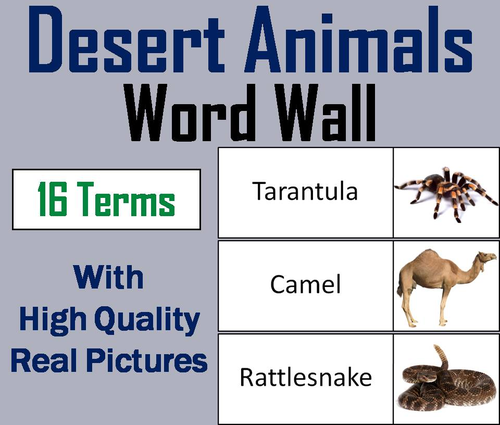 Desert Animals Word Wall Cards | Teaching Resources