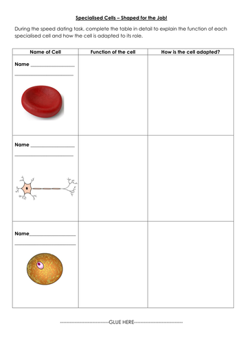 New AQA biology specialised cells | Teaching Resources