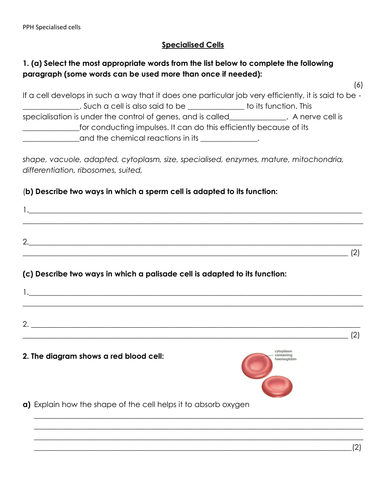 New AQA biology specialised cells | Teaching Resources