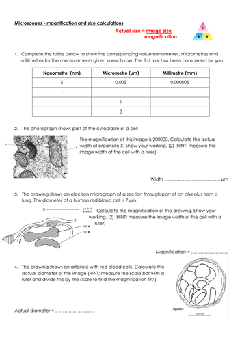 New AQA biology microscope lesson | Teaching Resources