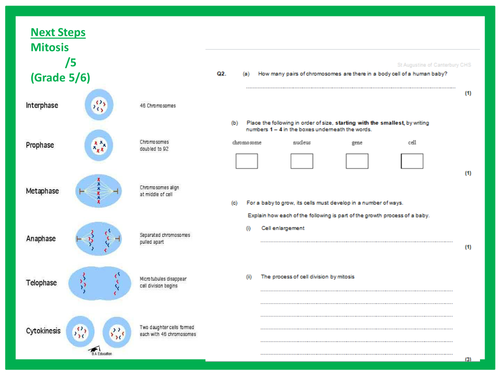 New AQA biology lesson diffusion | Teaching Resources