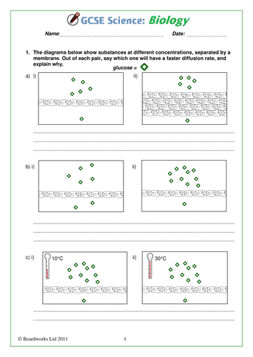 New AQA biology lesson diffusion | Teaching Resources