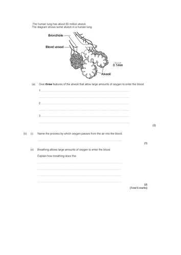 Breathing and gas exchange - complete lesson (GCSE 1-9) | Teaching ...