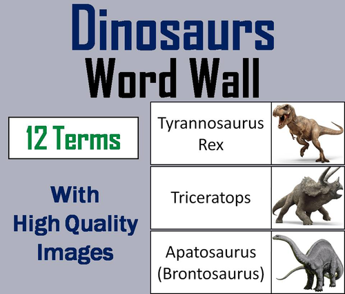 Types of Dinosaurs Word Wall Cards | Teaching Resources