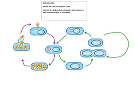Edexcel Biology (9-1) Virus Life Cycles Topic SB5f | Teaching Resources
