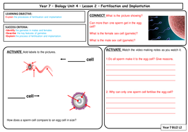 KS3 - Reproduction and Variation - Fertilisation and Implantation ...
