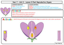KS3 - Reproduction and Variation - Plant Reproduction Organs - Maps to ...