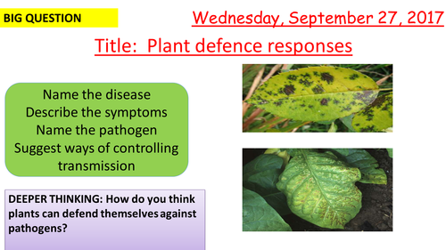 plant-defence-and-response-teaching-resources