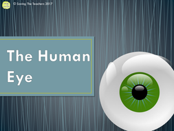 Light and Sight PowerPoint: The Human Eye Introduction | Teaching Resources
