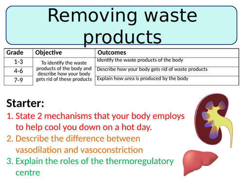 NEW AQA GCSE Biology (2016) - Removing waste products HT | Teaching ...