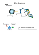 DNA Structure (Biology Only) - New AQA Biology GCSE | Teaching Resources