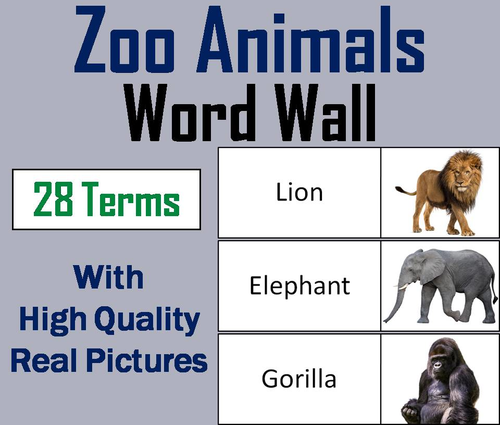 Zoo Animals Word Wall Cards | Teaching Resources