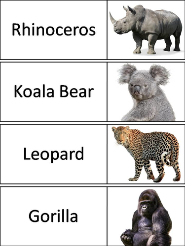 Zoo Animals Word Wall Cards | Teaching Resources