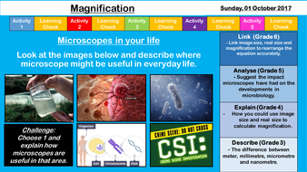 Magnification - NEW AQA GCSE | Teaching Resources