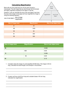 Magnification - NEW AQA GCSE | Teaching Resources