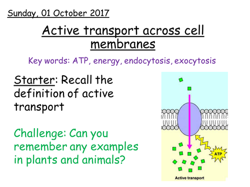 Edexcel SNAB Biology - Topic 2: Genes and Health - Topic 2A: Cell ...
