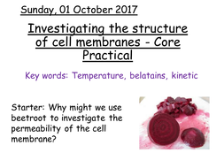 Edexcel SNAB Biology - Topic 2: Genes and Health - Topic 2A: Cell ...