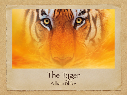 KS3 Poetry: 'The Tyger' | Teaching Resources