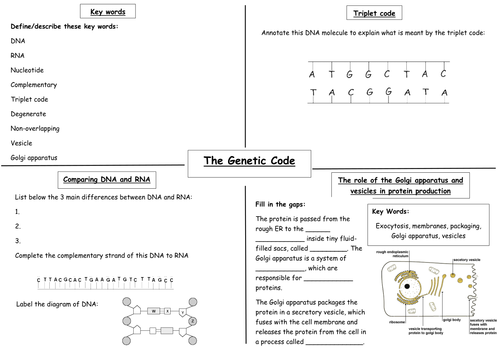 Edexcel SNAB Biology - Topic 2: Genes and Health - Topic 2C: DNA and ...