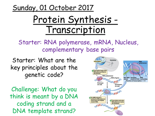 Edexcel SNAB Biology - Topic 2: Genes and Health - Topic 2C: DNA and ...