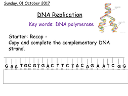 Edexcel SNAB Biology - Topic 2: Genes and Health - Topic 2C: DNA and ...