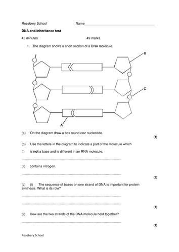 Edexcel SNAB Biology - Topic 2: Genes and Health - Topic 2C: DNA and ...