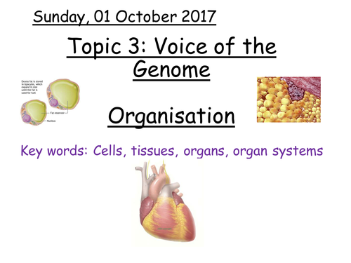 Edexcel SNAB Biology - Topic 3: Voice of the Genome- Topic 3A: Cells ...