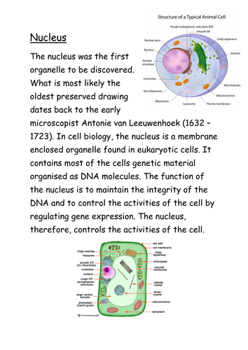 Edexcel SNAB Biology - Topic 3: Voice of the Genome- Topic 3A: Cells ...