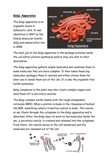 Edexcel SNAB Biology - Topic 3: Voice of the Genome- Topic 3A: Cells ...