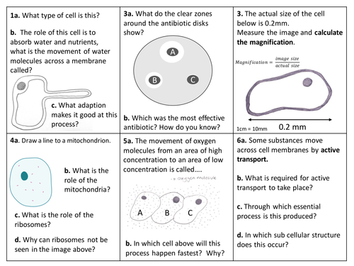 9-1 Cell Biology Revision Grid Activity | Teaching Resources