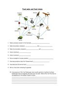 Food chain and food webs | Teaching Resources