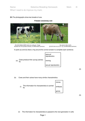 Selective Breeding - New AQA Biology GCSE | Teaching Resources