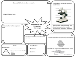 NEW AQA Biology GCSE Required Practical Revision 1 Microscopy ...