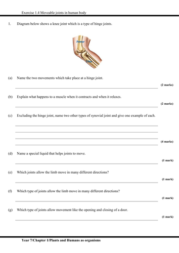 IGCSE :Plants and Humans as organisms (Skeletal system, joints ...