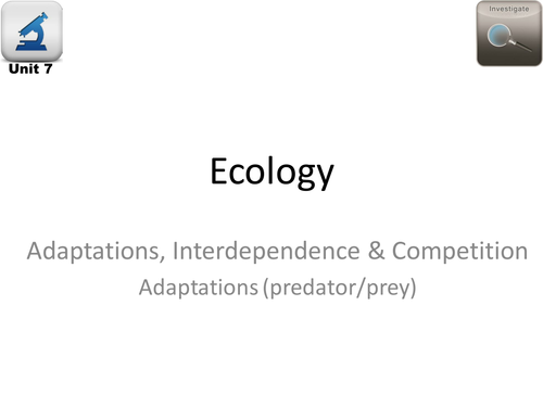 AQA Biology 4.7 Ecology - L2 Adaptations of Predators and Prey ...