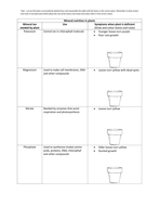 Mineral ion deficiency in plants iGCSE/GCSE - PPT & Worksheet ...