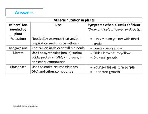 Mineral ion deficiency in plants iGCSE/GCSE - PPT & Worksheet ...